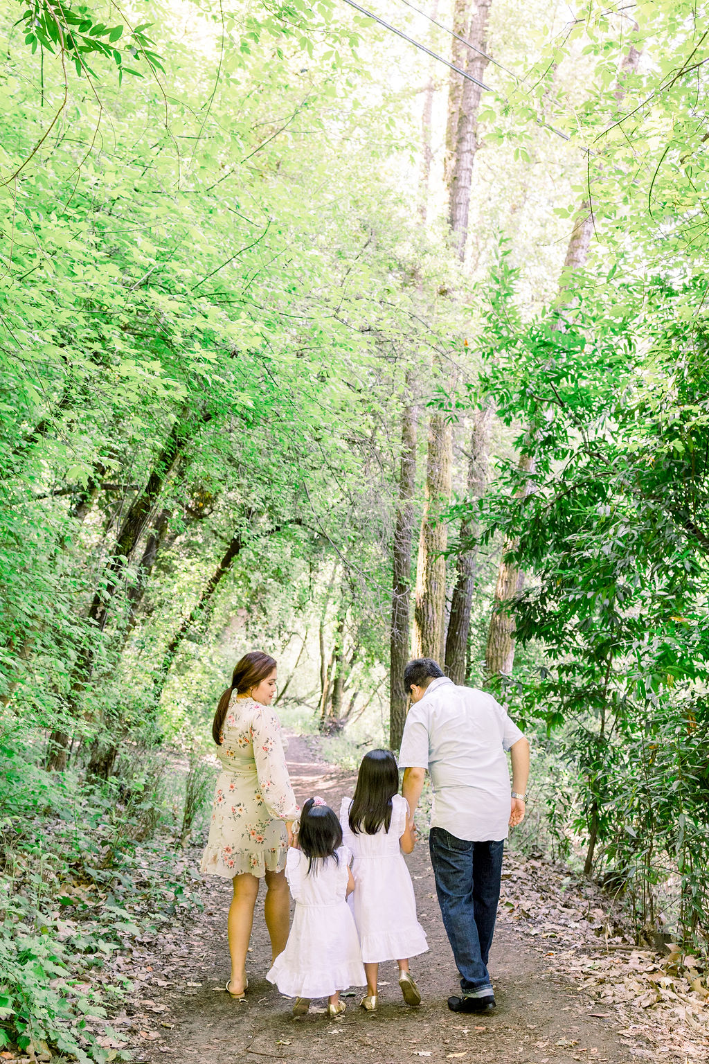 Redwoods Family Photos in Santa Cruz | CA Photographer